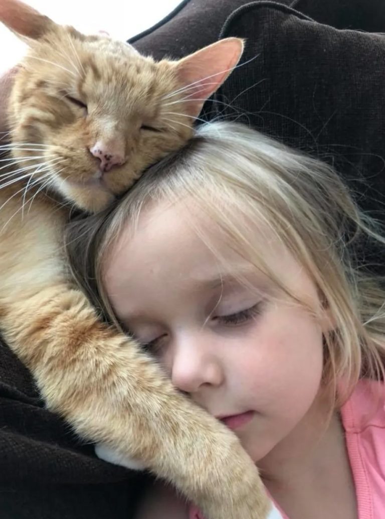 Cette admirable enfant de 4 ans a l’habitude de raconter à son chaton ...